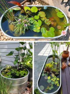 Container Water Features Using Galvanized Tubs And Troughs: 12 Ideas ...